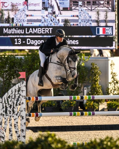 Ambassadeur - Mathieu Lambert - Gem Equitation Gem