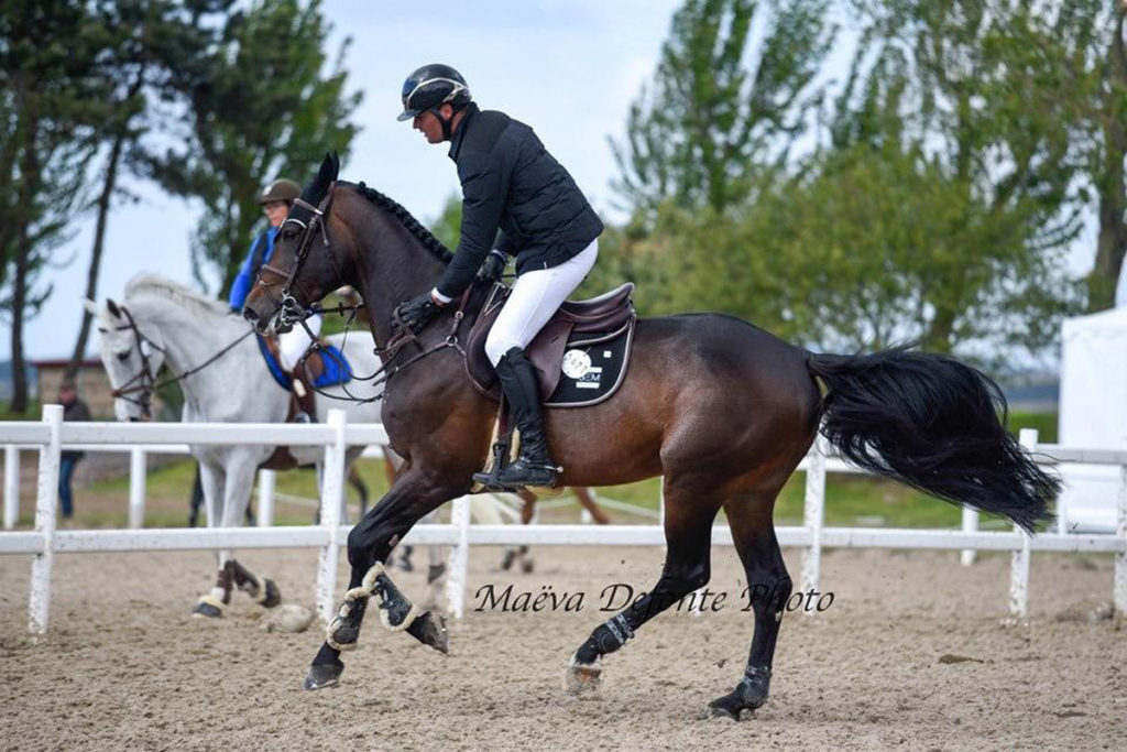 Ambassadeur - Mathieu Lambert - Gem Equitation Gem