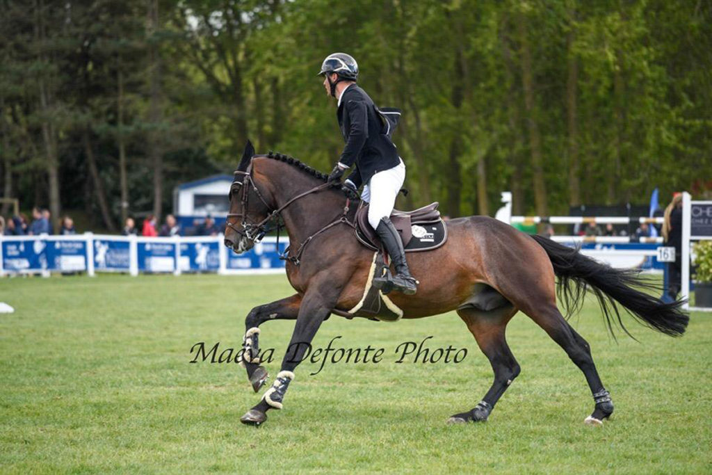 Ambassadeur - Mathieu Lambert - Gem Equitation Gem
