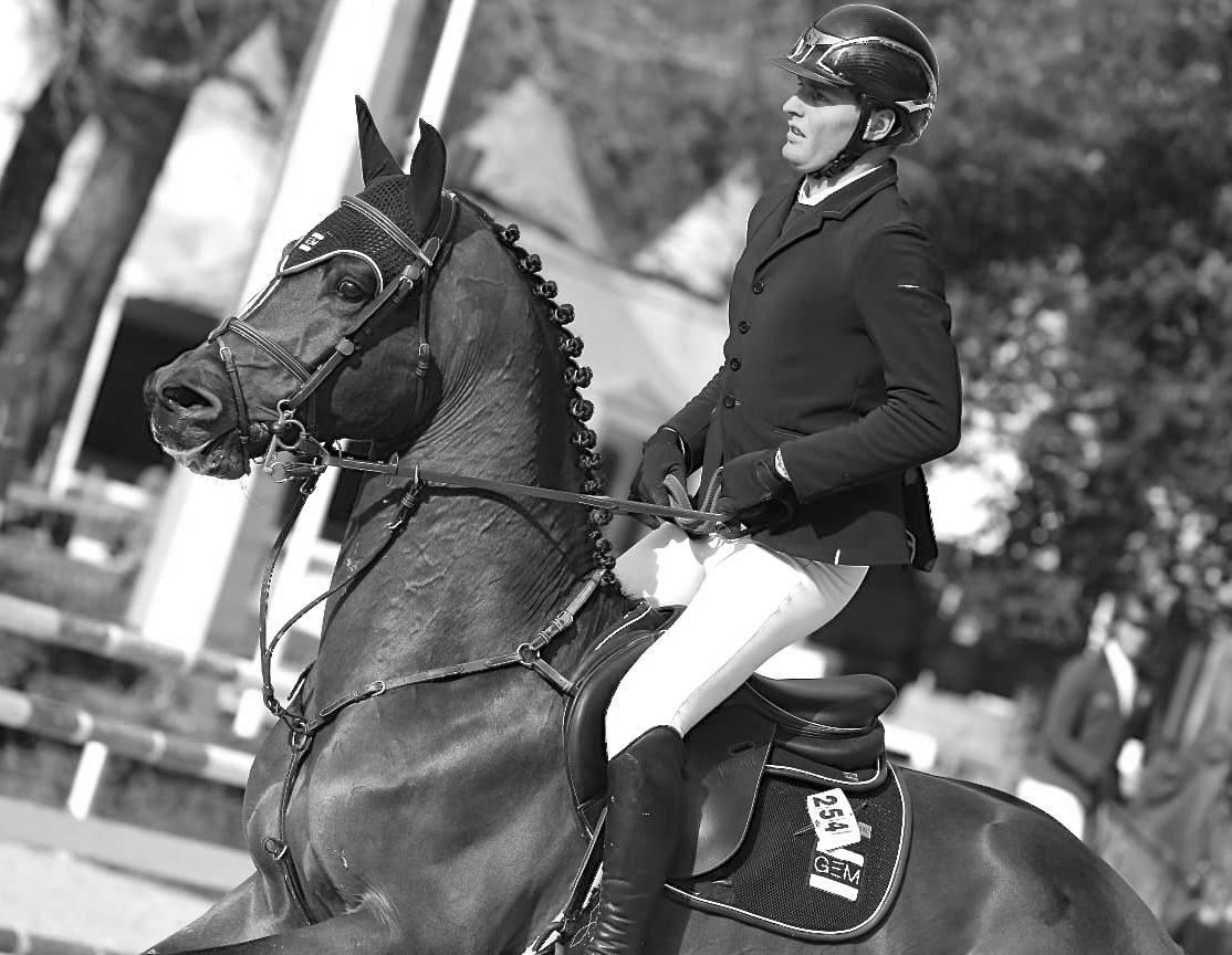 Ambassadeur - Mathieu Lambert - Gem Equitation Gem