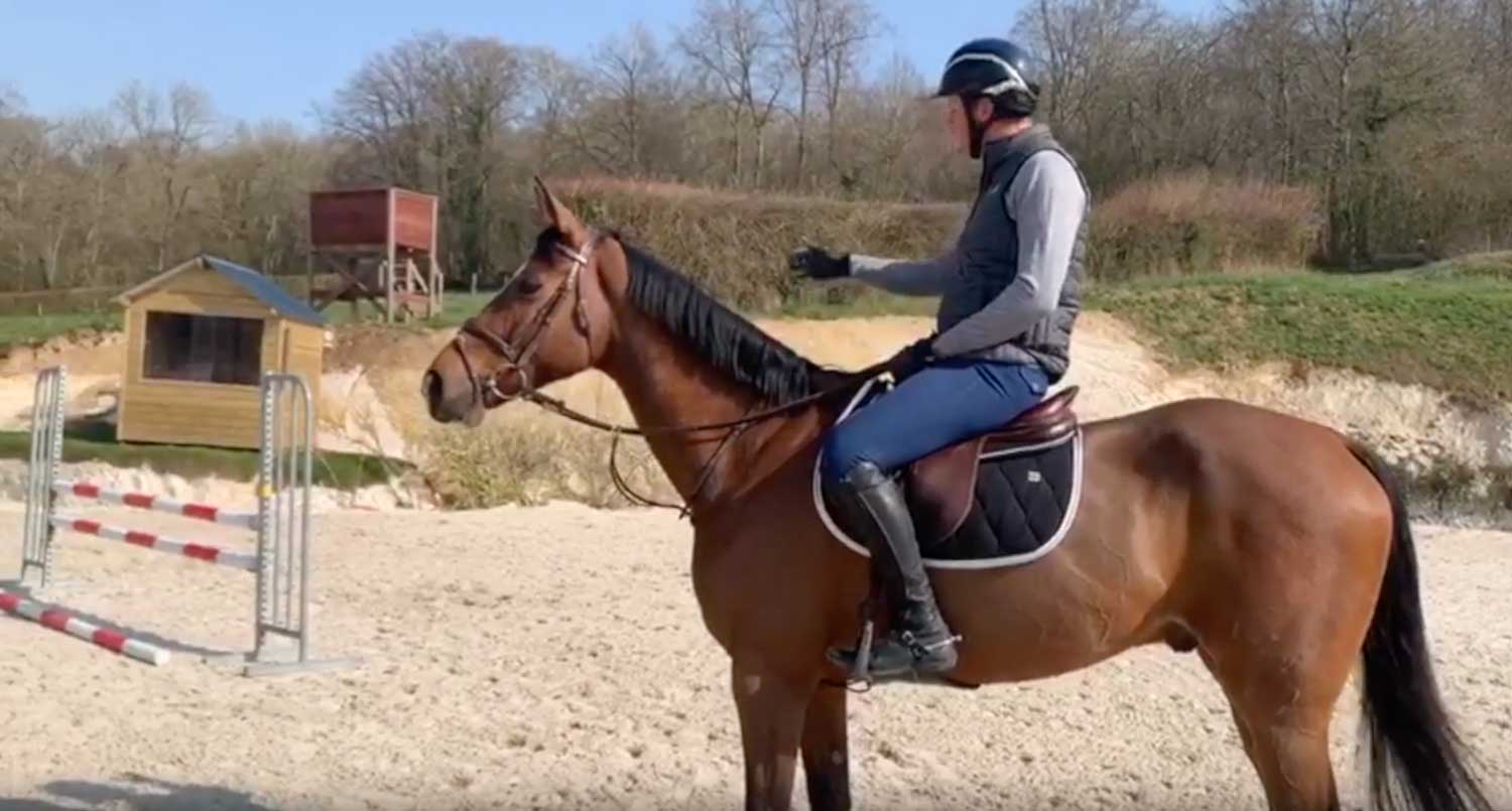 Exercices d’entraînement par nos ambassadeurs - GEM ÉQUITATION