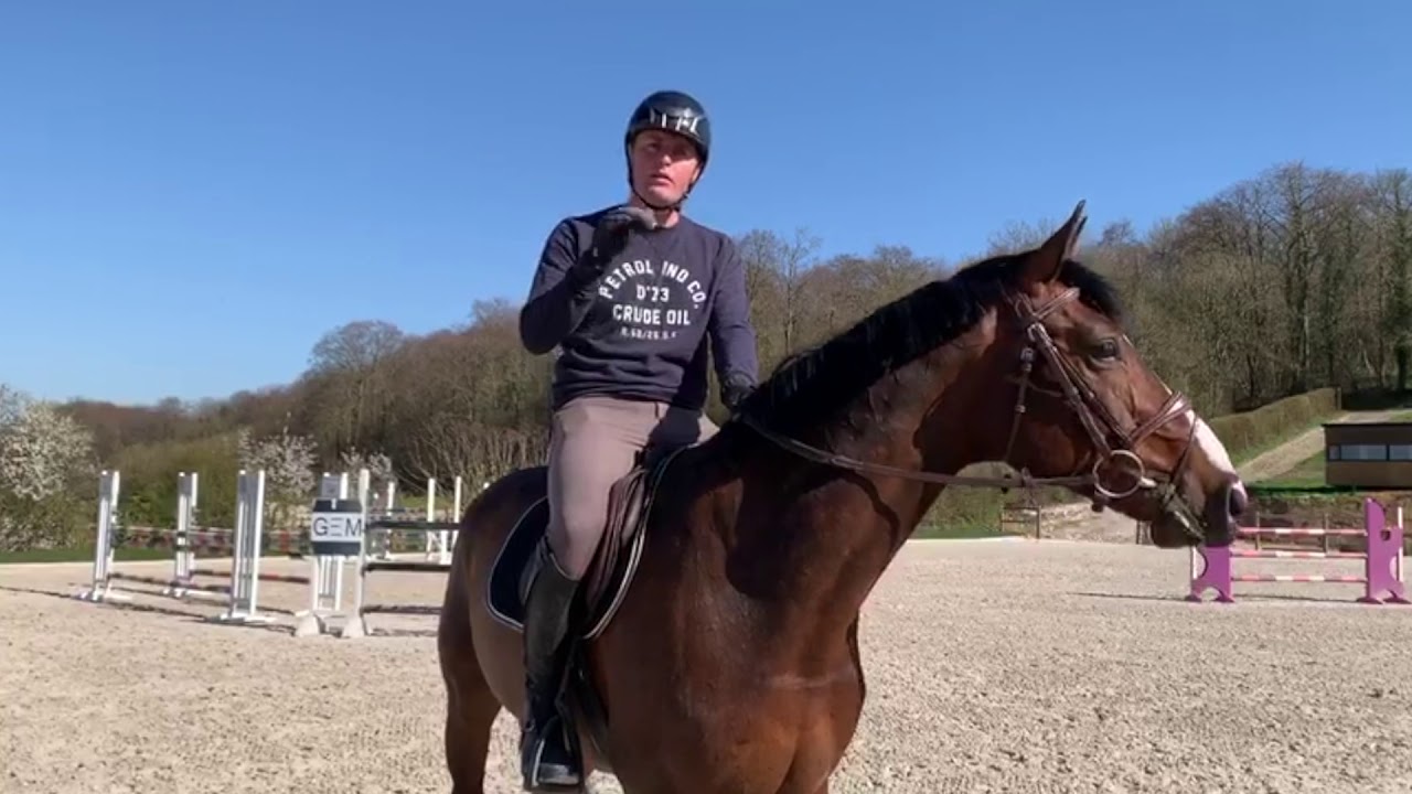 Exercices d’entraînement par nos ambassadeurs - GEM ÉQUITATION