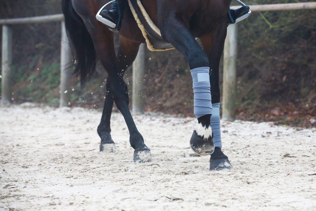 LOOKBOOK 26 - BANDES DE POLO - Gem Equitation